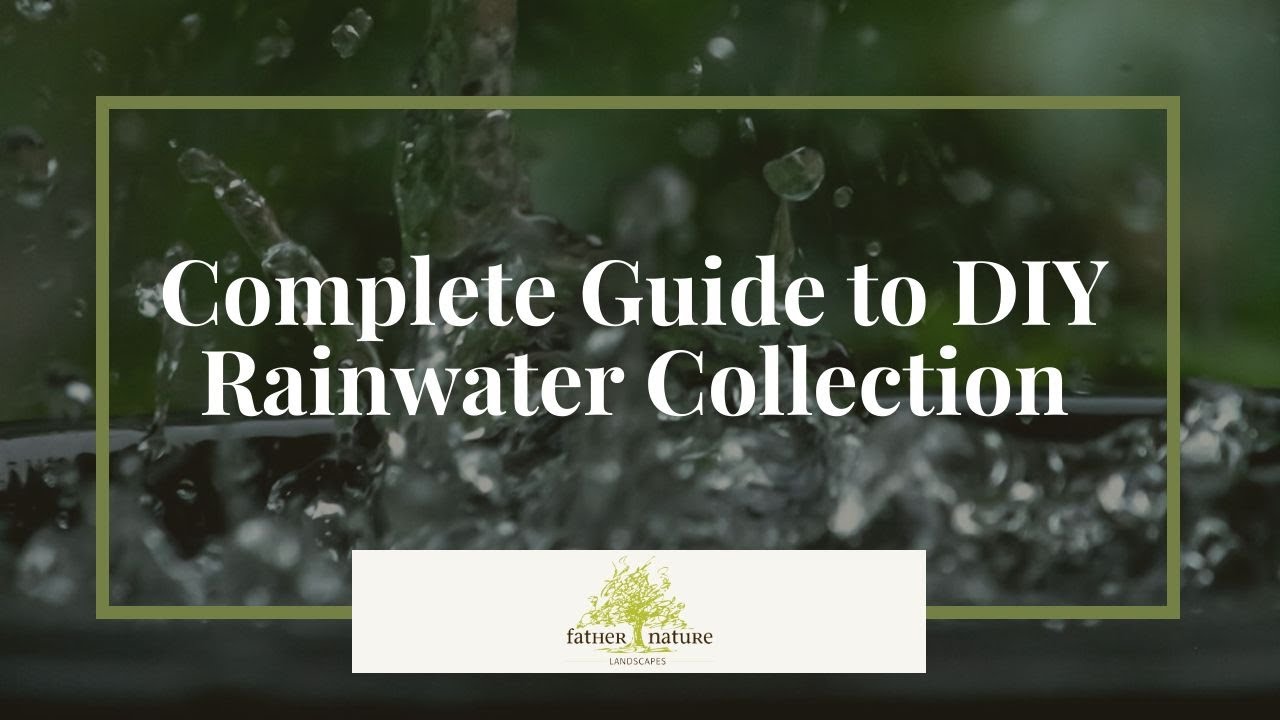 A Complete Guide on DIY Rainwater Collection Systems - Father Nature ...